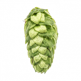 Loral Hops - T90 Pellets 100g – All Things Fermented | Home Brew ...