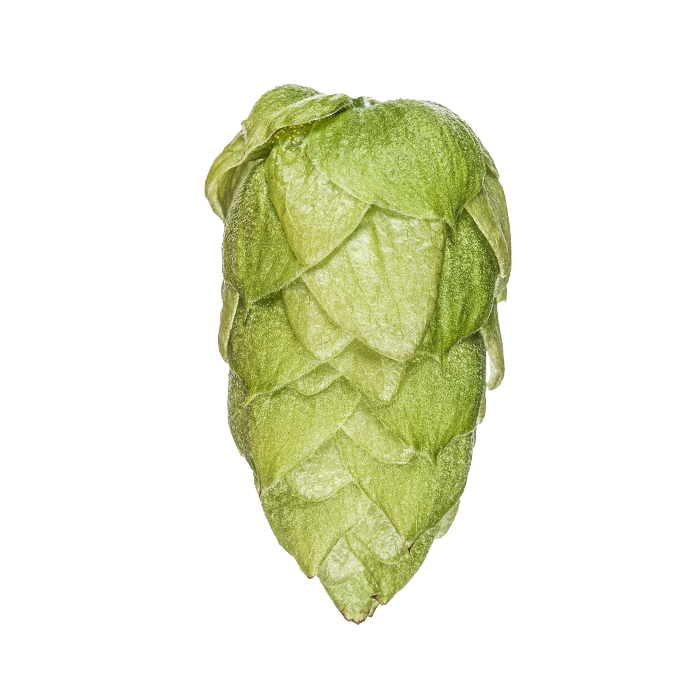 Riwaka Cryo Hops 2024 Harvest- 50g – All Things Fermented | Home Brew ...